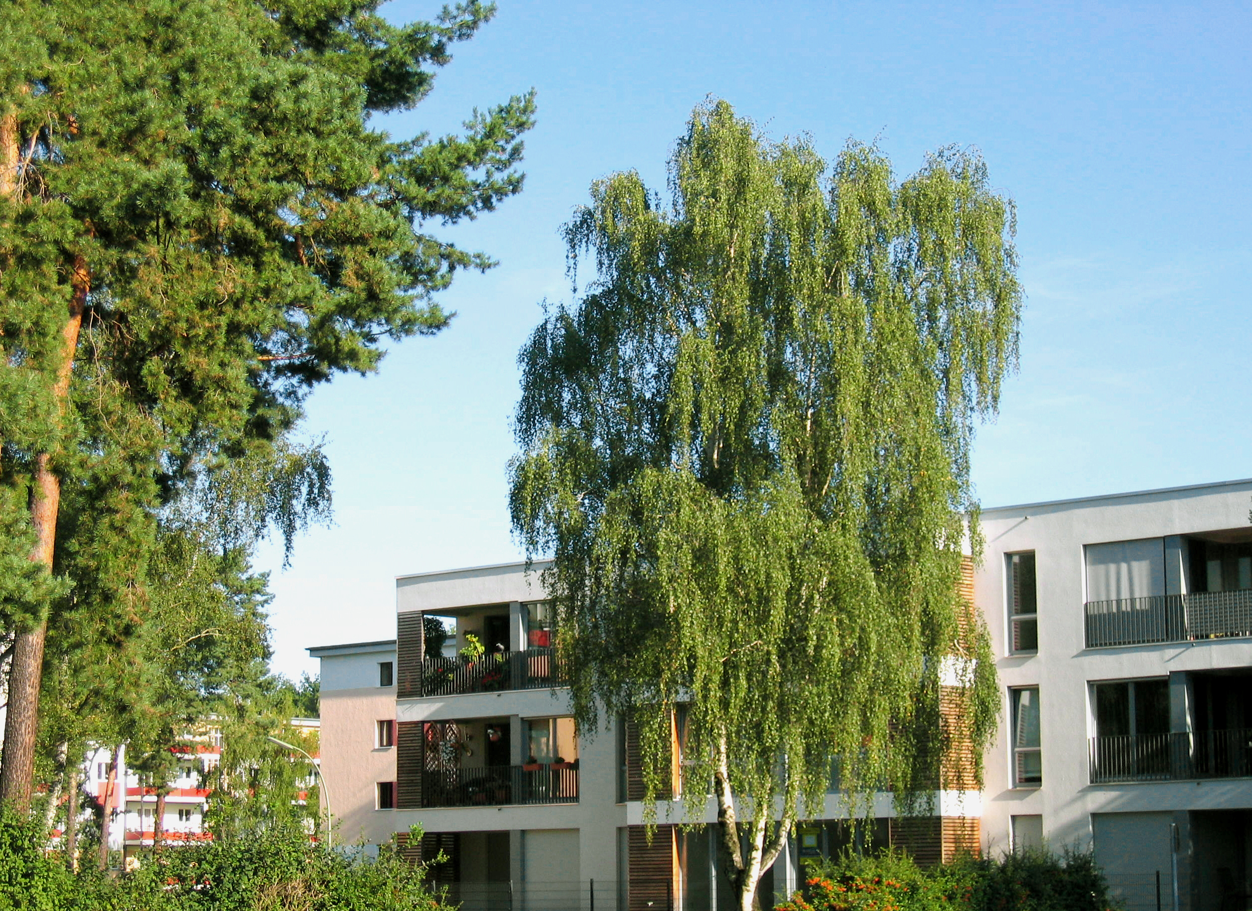 HOA & Condo Assessment Collection Guide | Rickel Law Articles